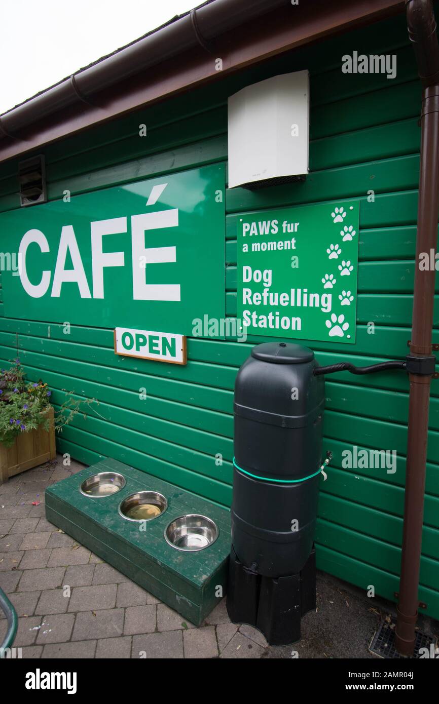 Dog friendly cafe Keswick the Lake District UK dog bowls water bin ...
