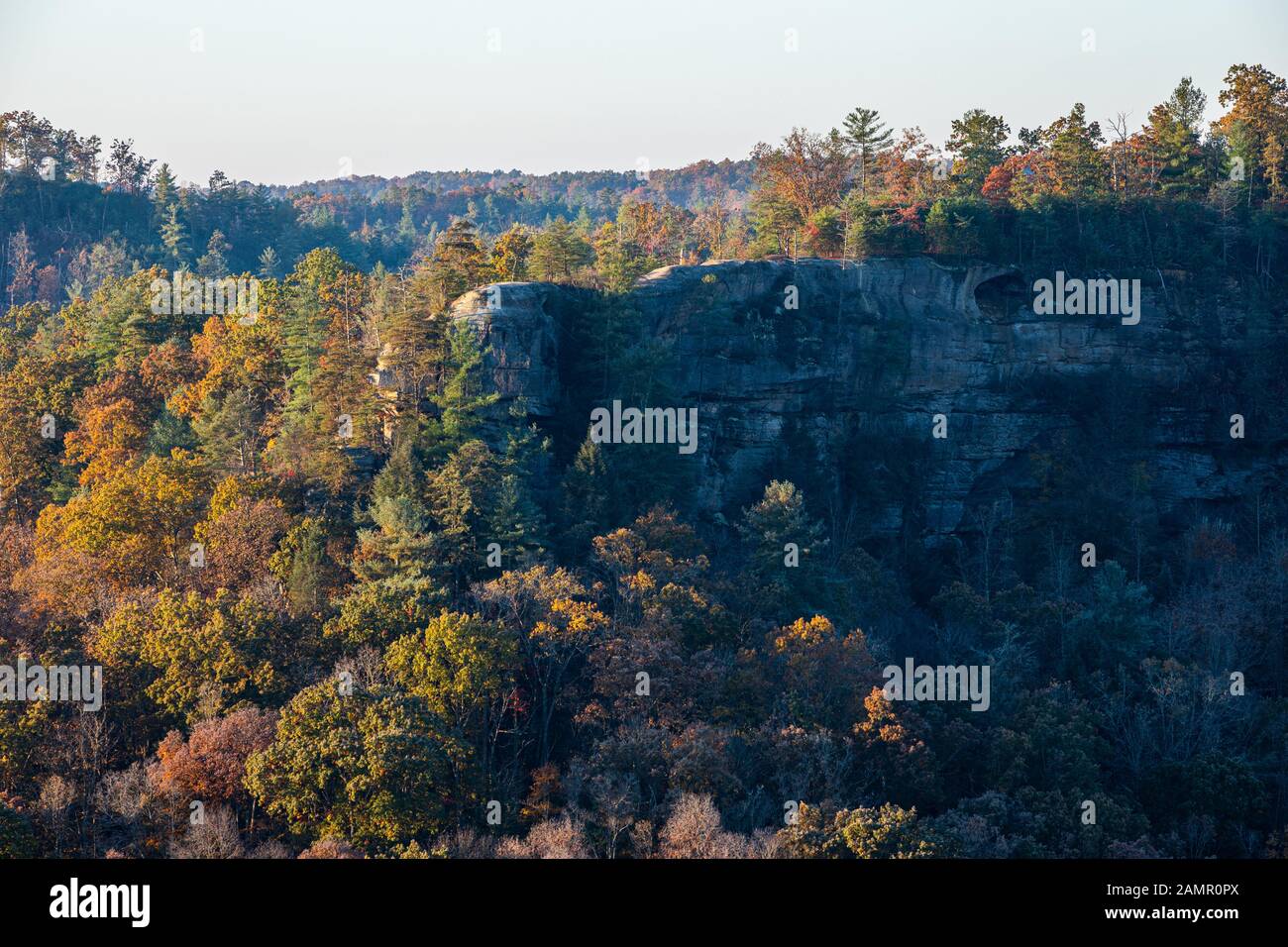 Early morning in the Red River Gorge, Slade, Ky Stock Photo - Alamy