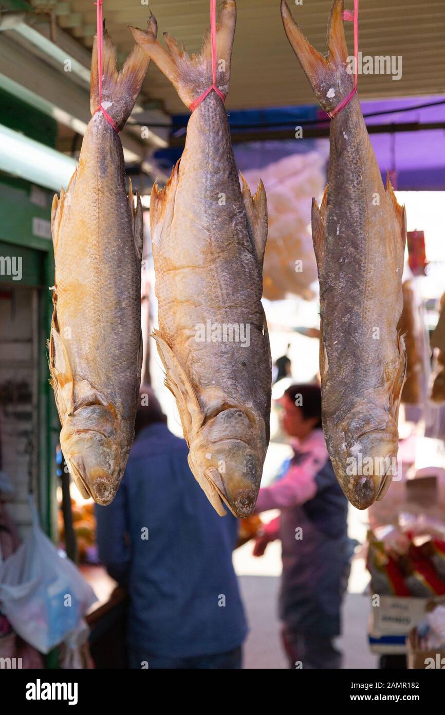 Kowloon Hong Kong Asia - fish seafood for sale in the food market ...