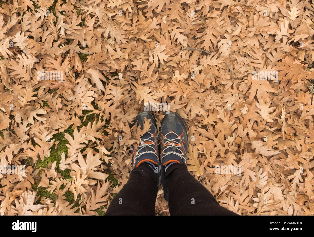 Human feet stepping on dry autumn leaves in the forest. Backgrounds and ...