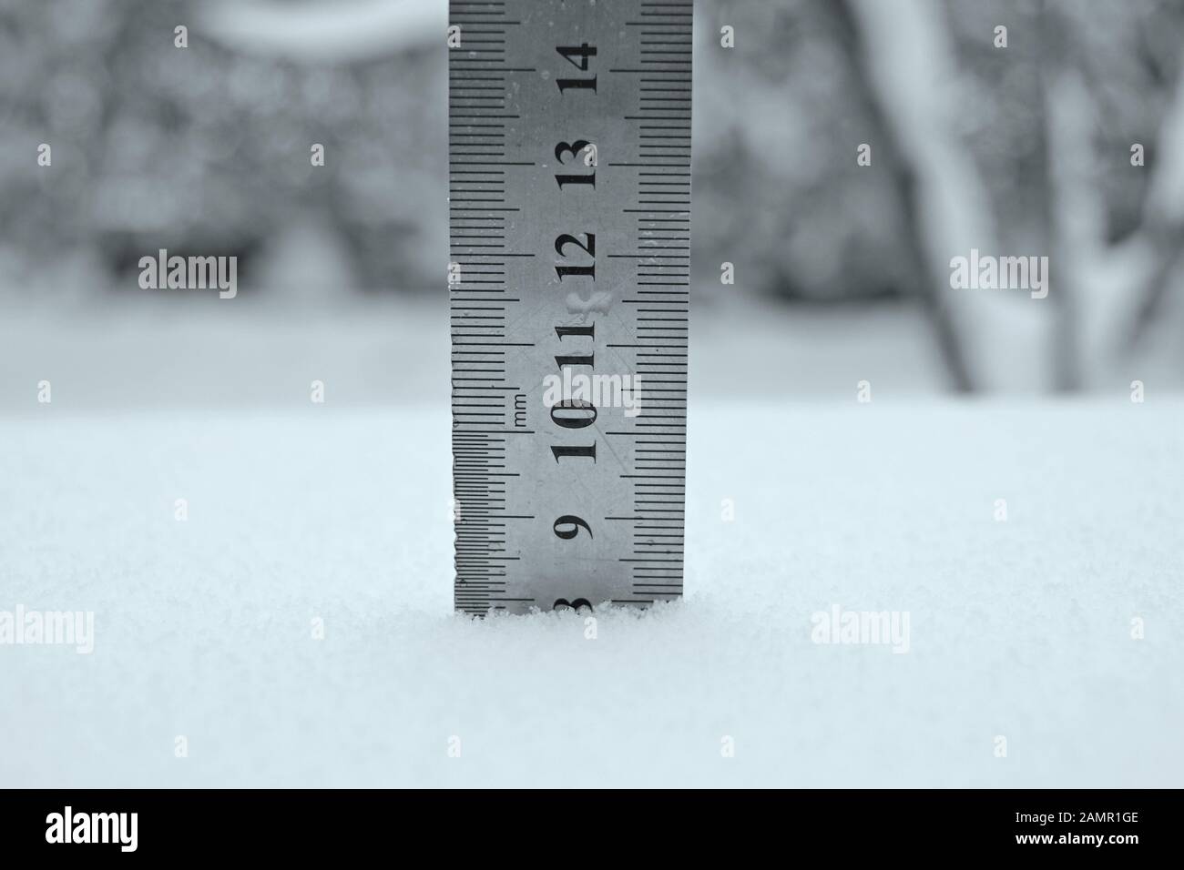 photo with a centimeter ruler as an indicator of snow depth Stock Photo ...