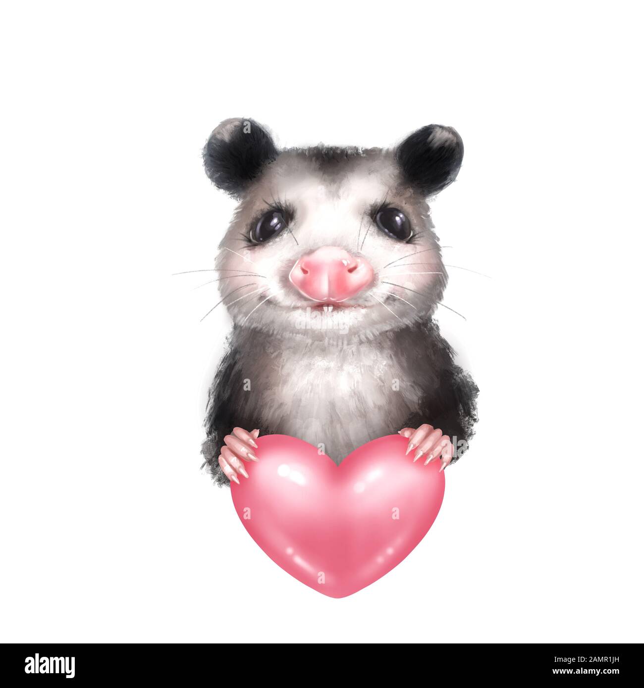 Portrait of Opossum Stock Photo - Alamy