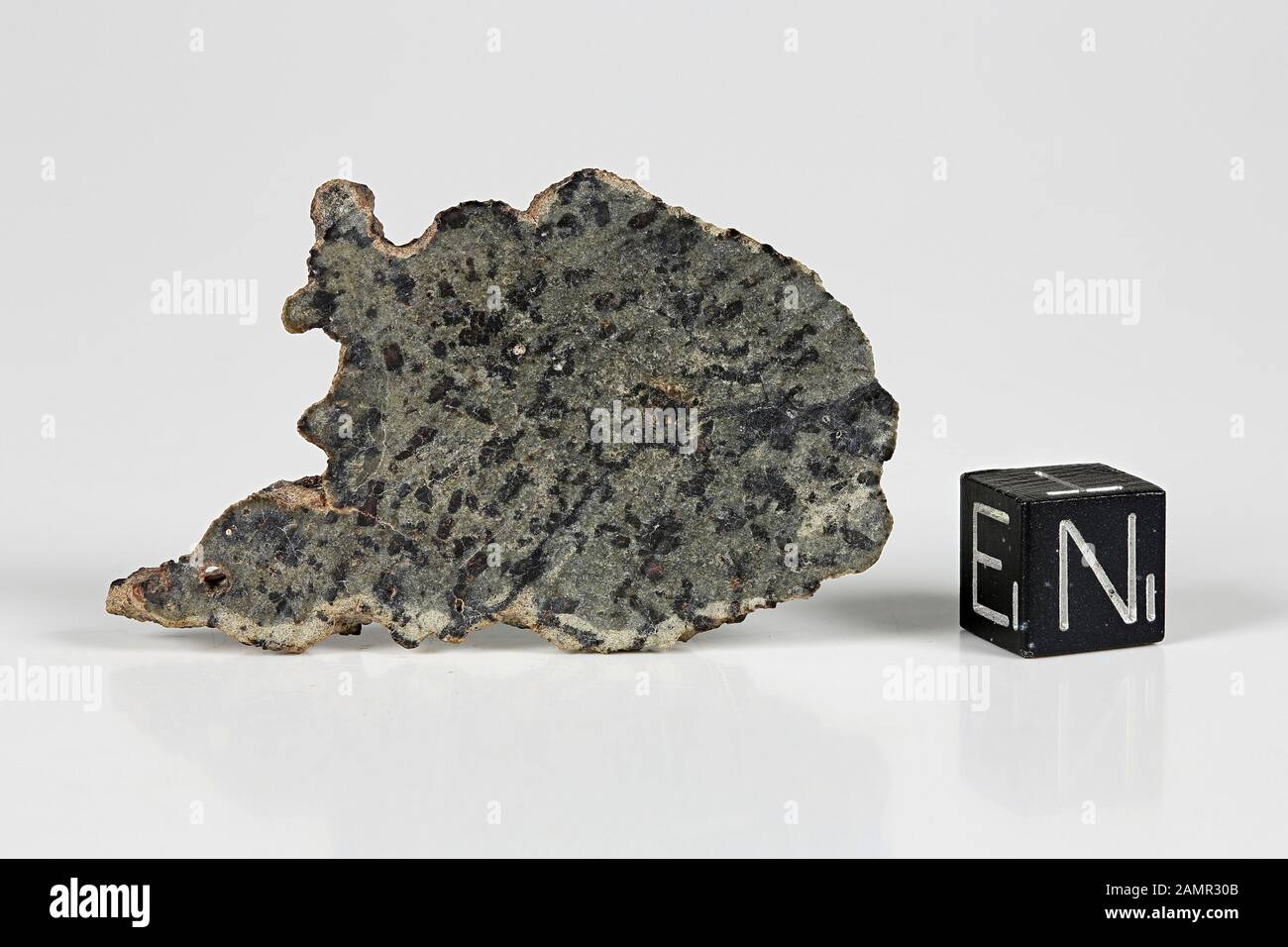 DAR AL GANI 670 – Found 1999, Dar Al Gani, libyan Sahara, Libya ...