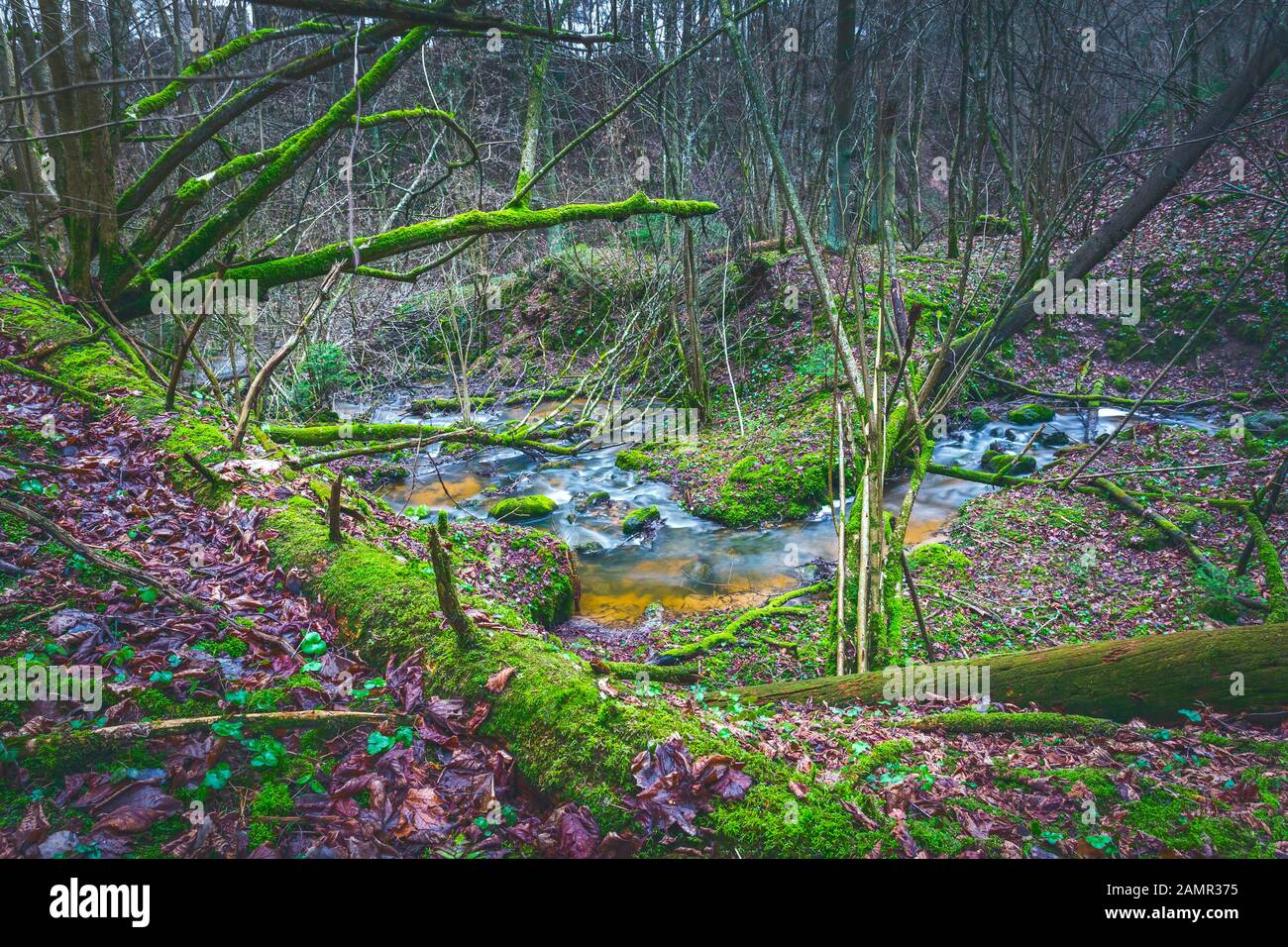 Green landscape with small river in the forests Stock Photo - Alamy