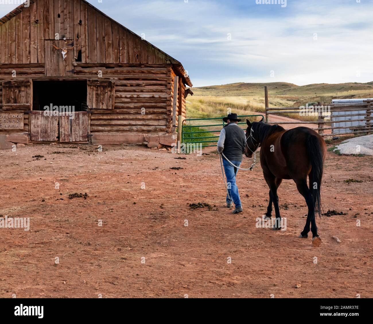 Working in barn hi-res stock photography and images - Alamy