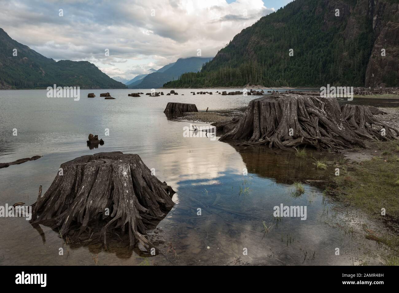 Logging pond hi-res stock photography and images - Alamy
