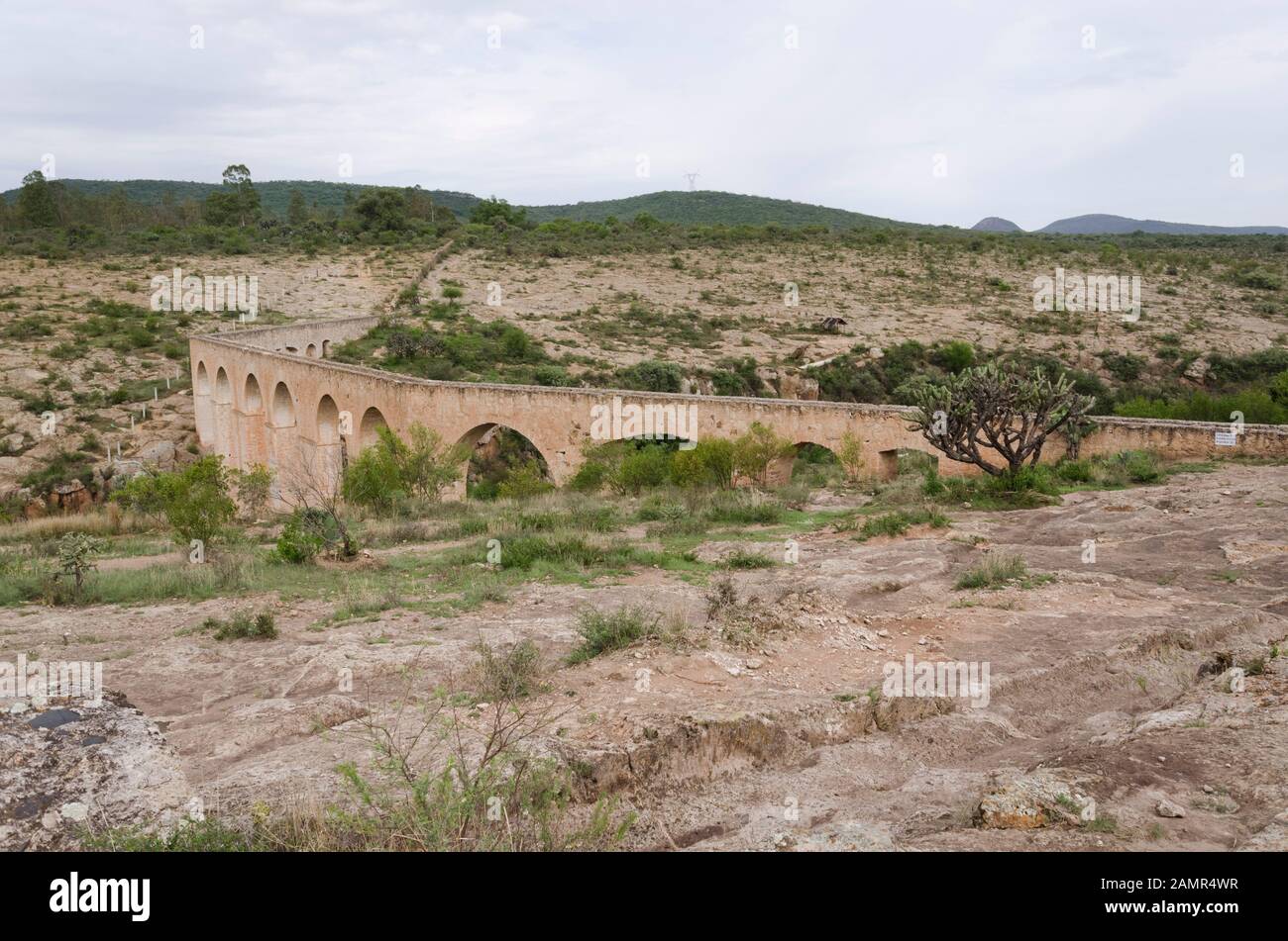 El saucillo hi-res stock photography and images - Alamy