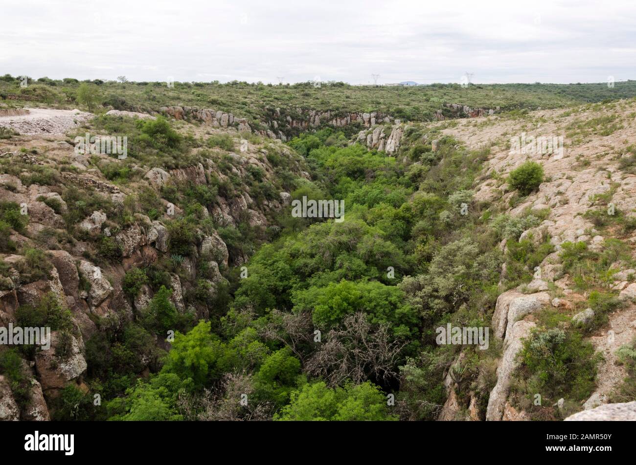 El saucillo hi-res stock photography and images - Alamy