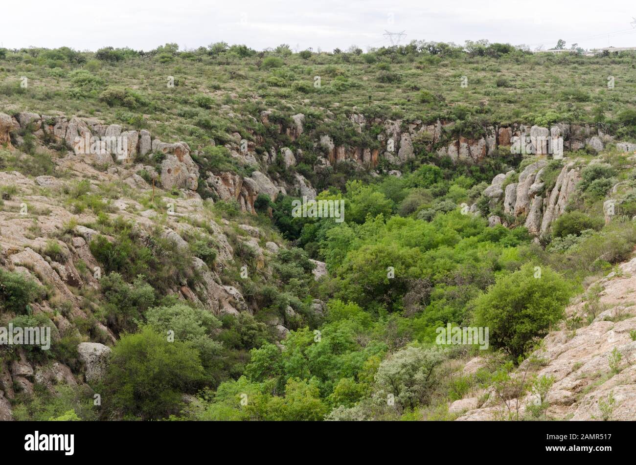 Biopark El Saucillo, imposing view from the top of the aqueduct ...