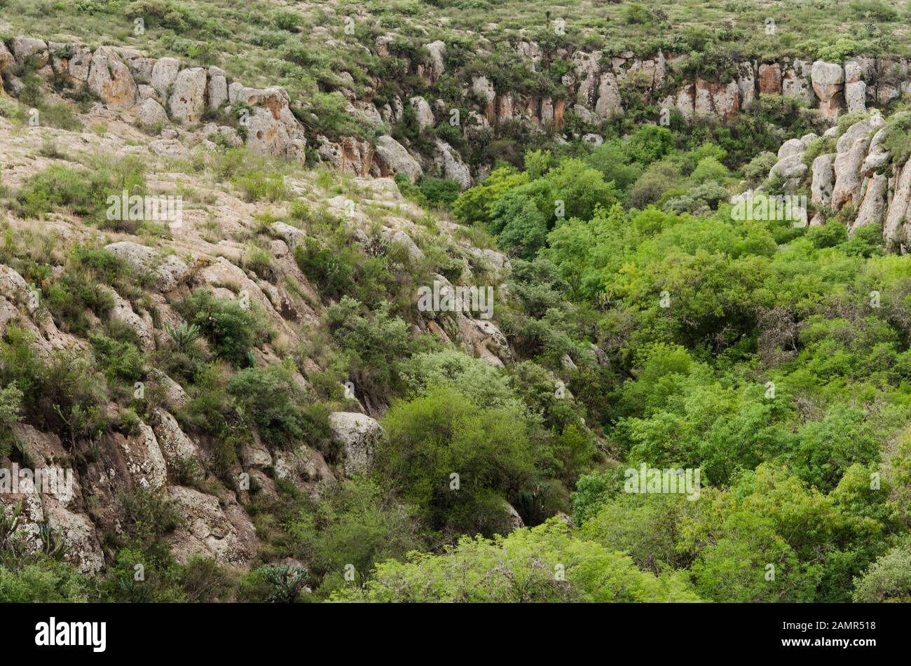 Biopark El Saucillo, imposing view from the top of the aqueduct ...