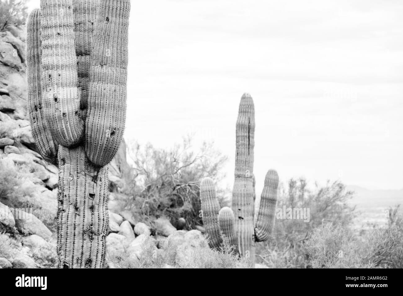 Camelback mountain arizona hi-res stock photography and images - Alamy