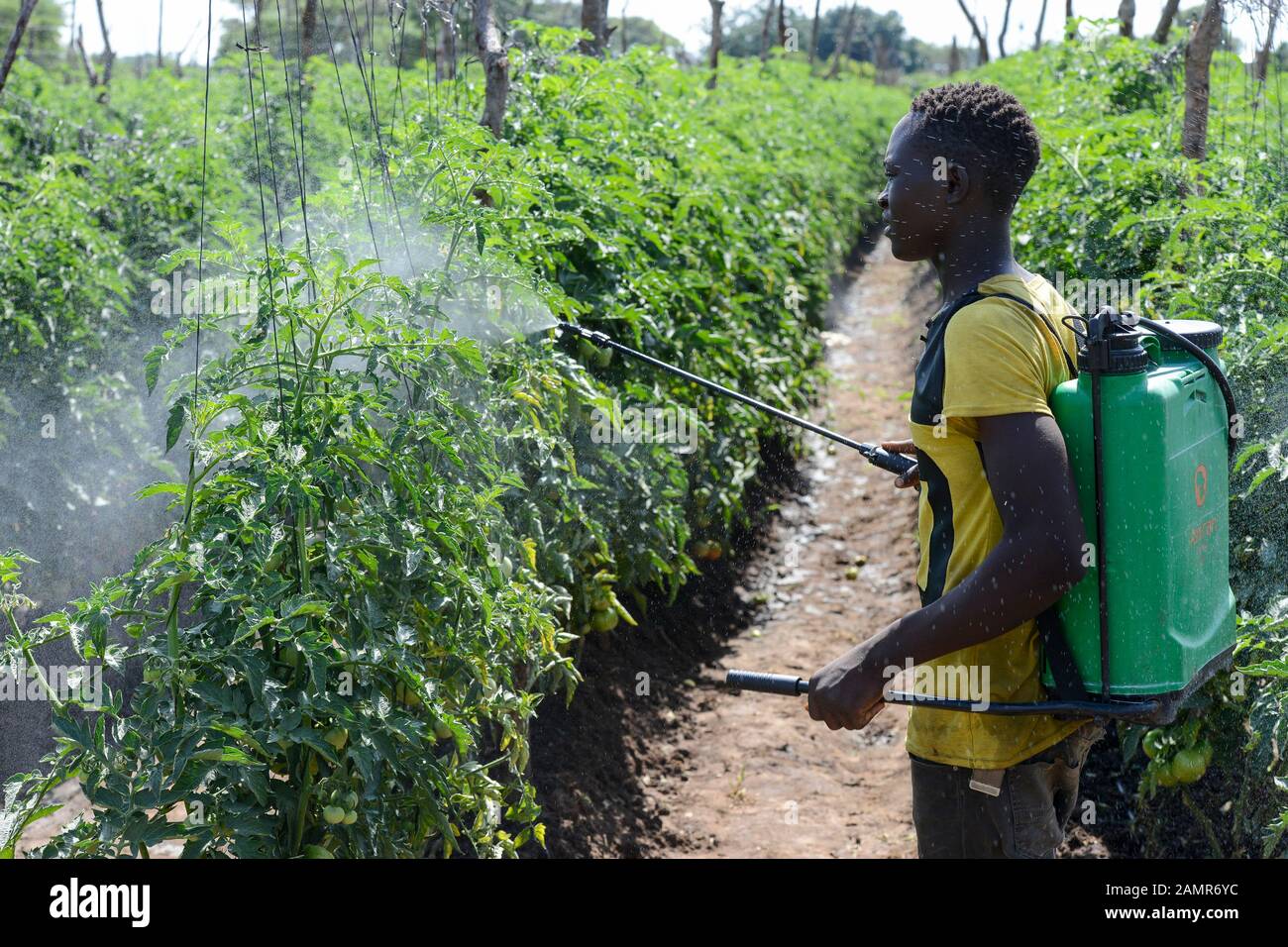 Pesticide spraying africa hi-res stock photography and images - Alamy