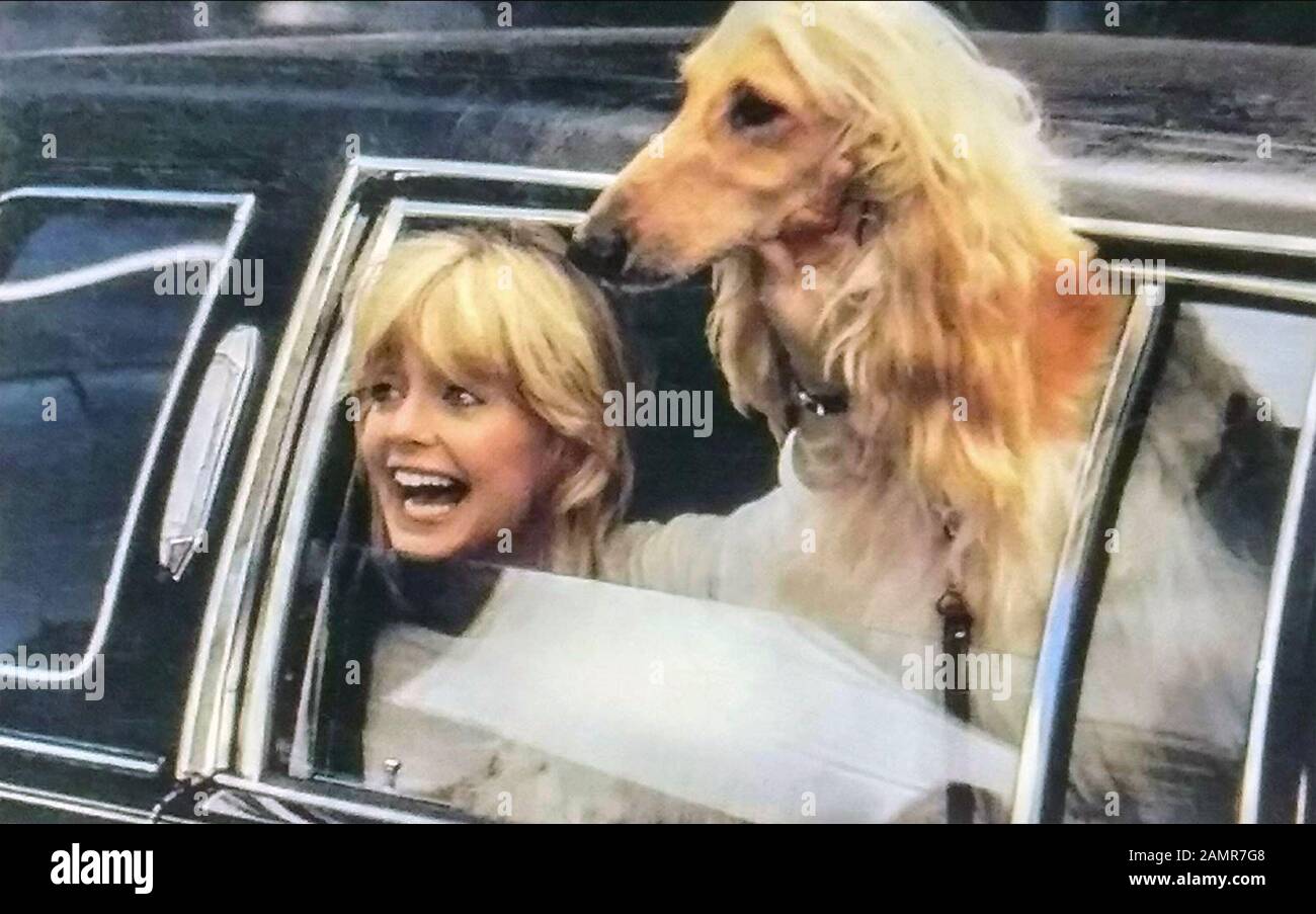 PROTOCOL 1984 Warner Bros film with Goldie Hawn Stock Photo - Alamy