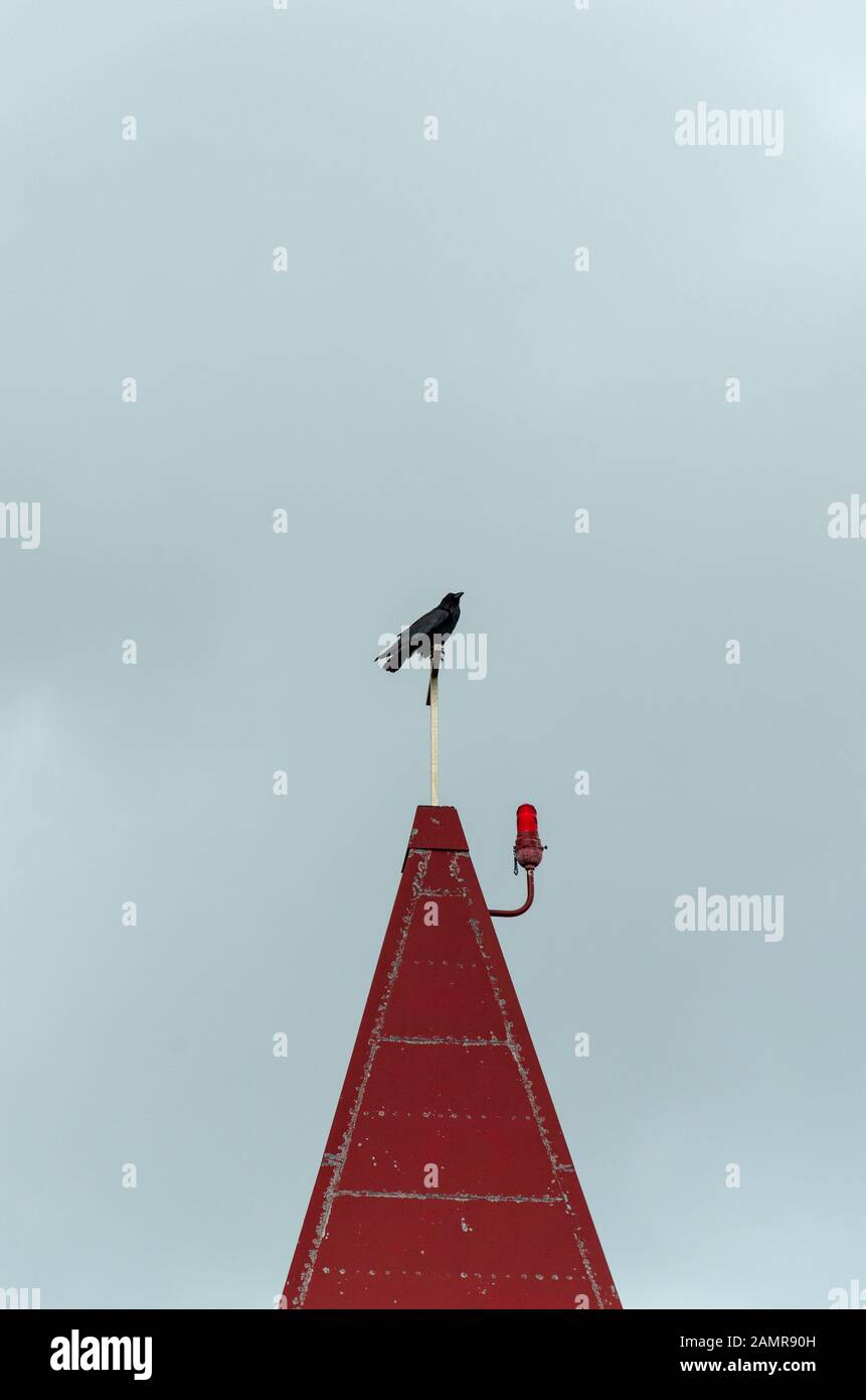 Church spine hi-res stock photography and images - Alamy