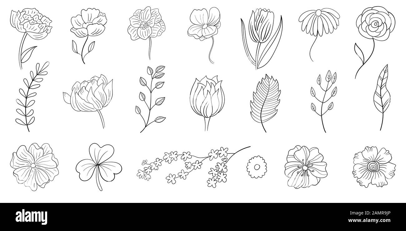 Line of flowers Black and White Stock Photos & Images - Alamy