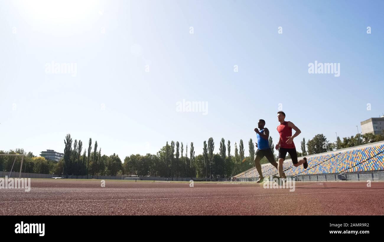 Two active runners competing at stadium, training hard to achieve sport ...