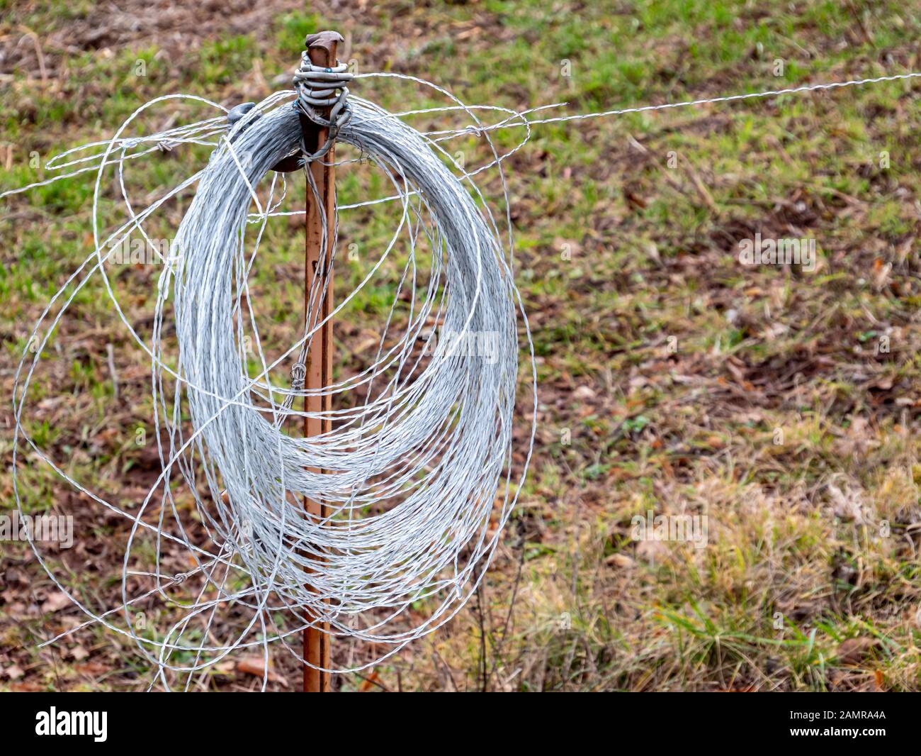Cable of an electric pasture fence Stock Photo - Alamy