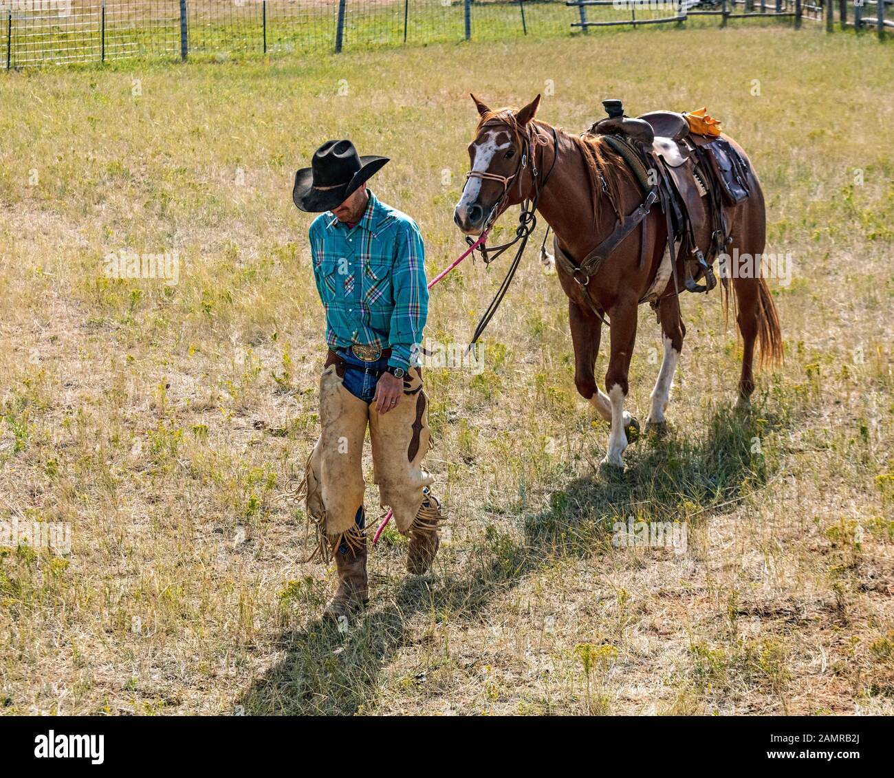 Ranch Horses At Work