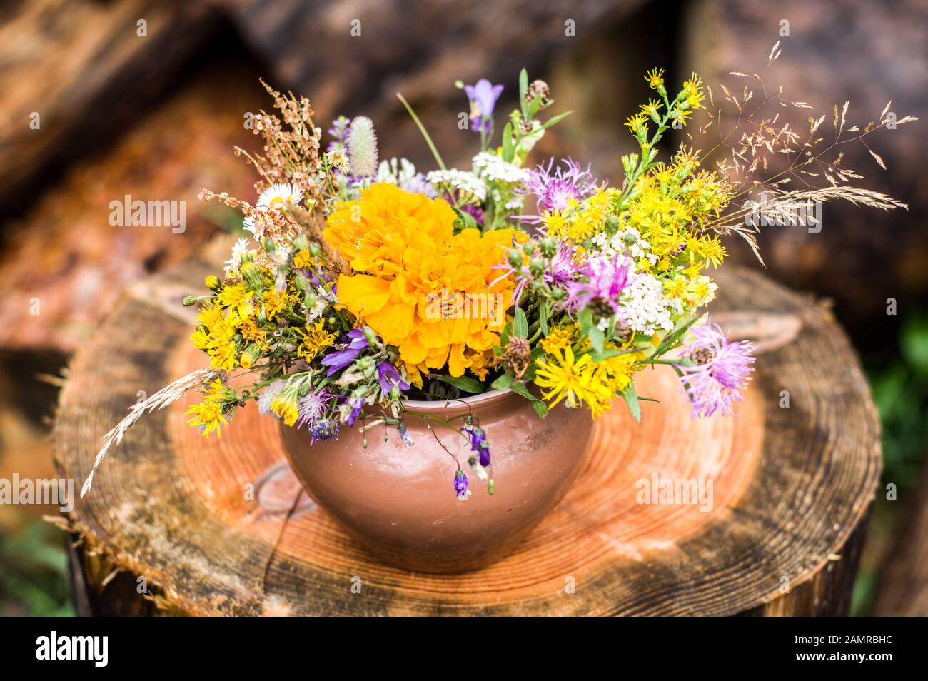 Spring wildflowers in a clay pot. Clay pot and stump. Angled view Stock ...