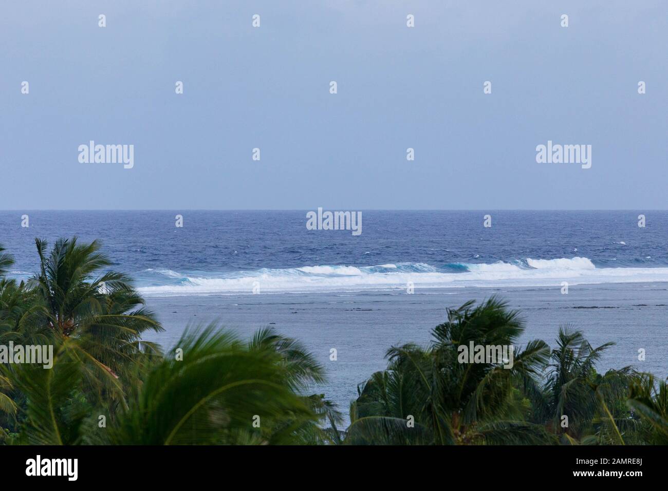 Offshore coconut trees hi-res stock photography and images - Alamy