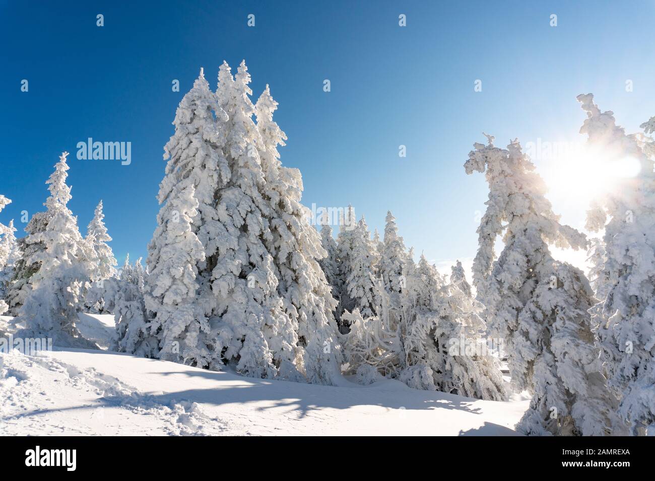 Frosty scenery landscape hi-res stock photography and images - Alamy