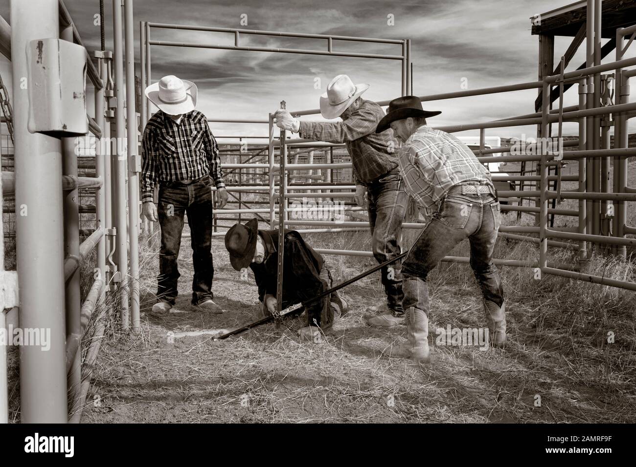 Man fixing fence hi-res stock photography and images - Alamy