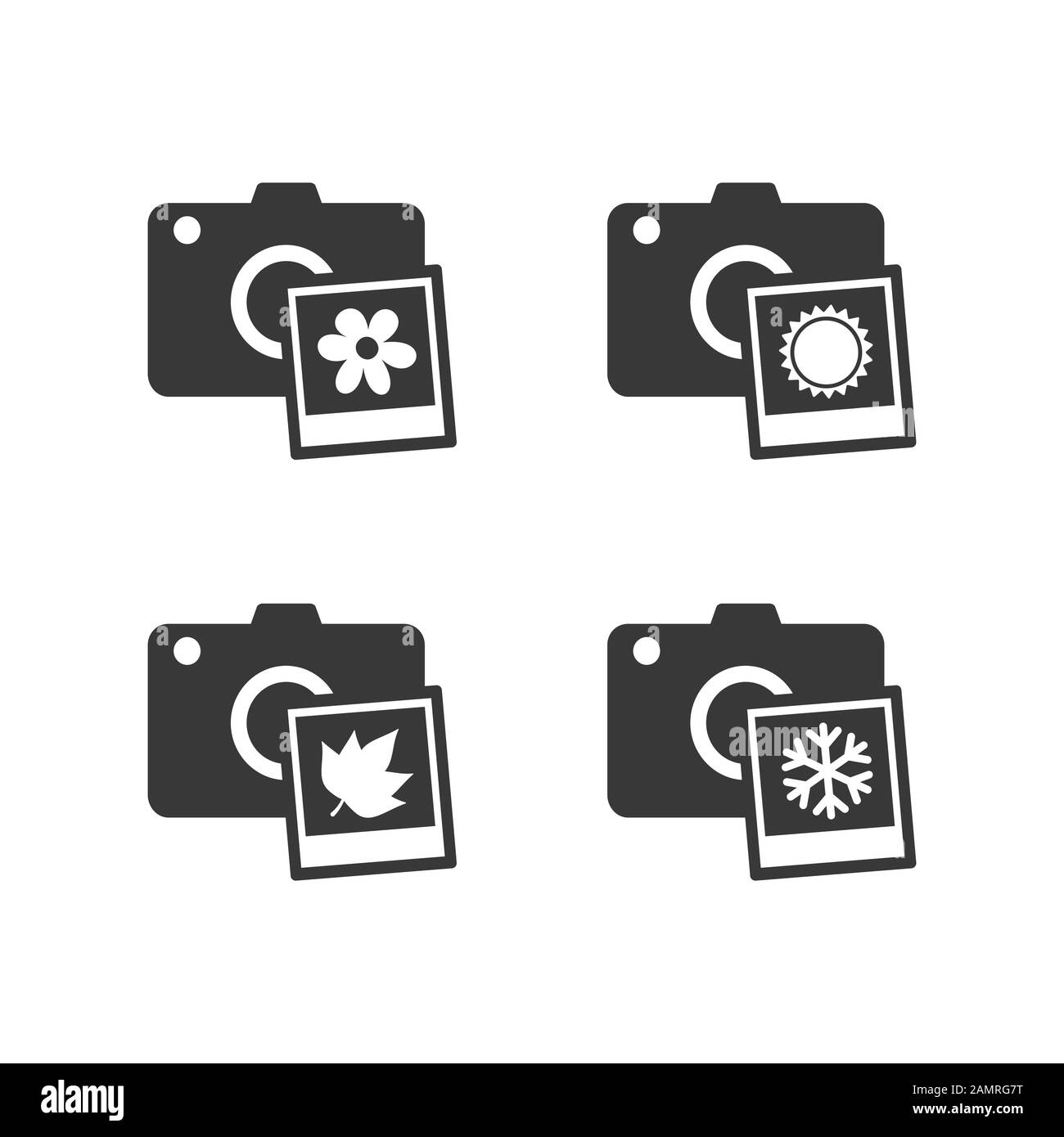 Cameras with different season photos. Flat black and white icon group ...