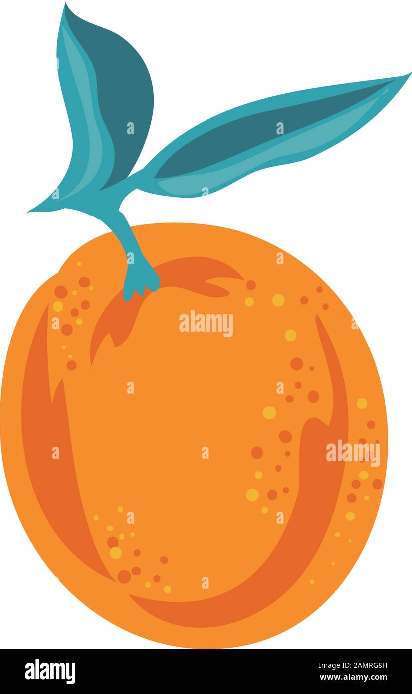 fresh orange fruit isolated icon Stock Vector Image & Art - Alamy