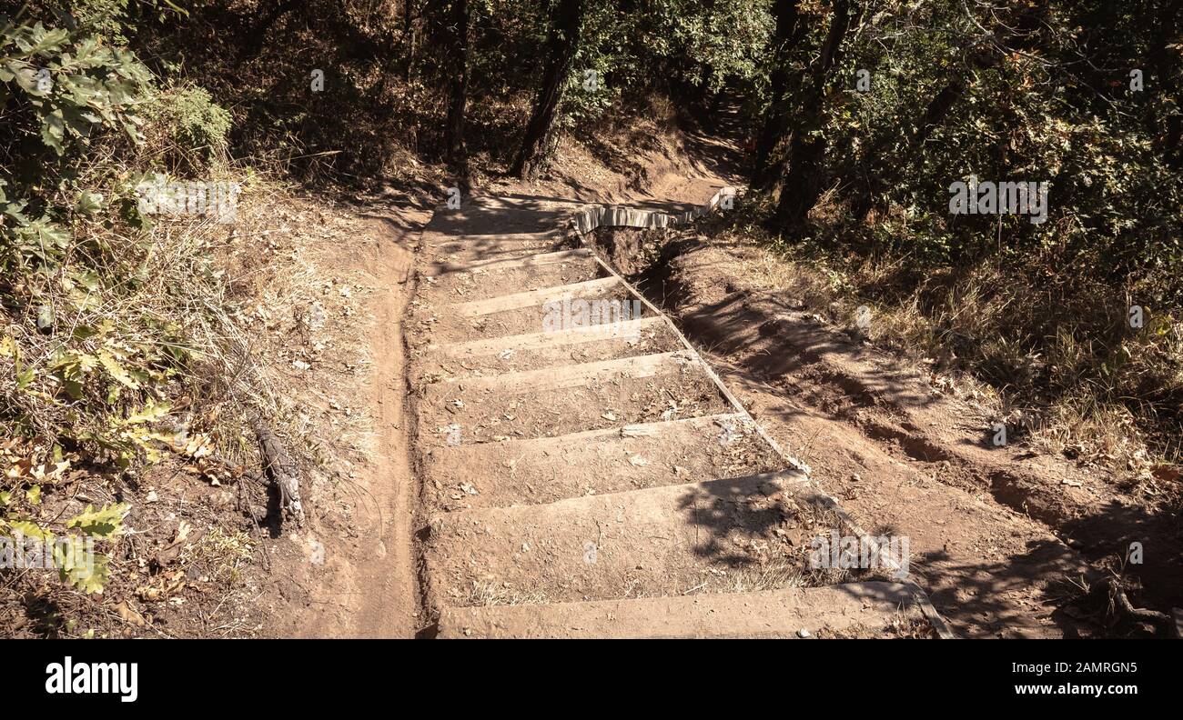 earth and wood staircase in a forest in western France in summer Stock ...
