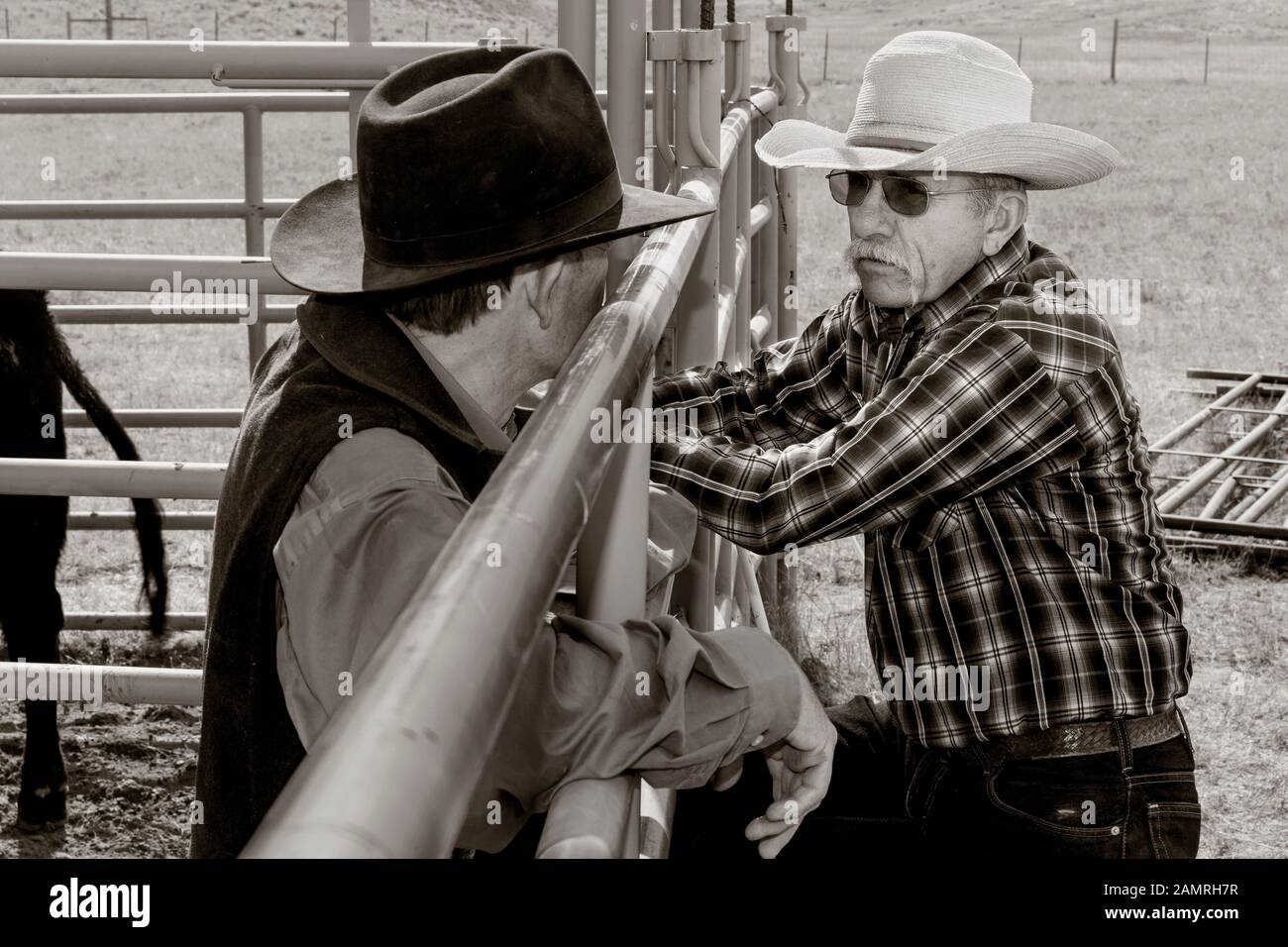 Talk over fence hi-res stock photography and images - Alamy