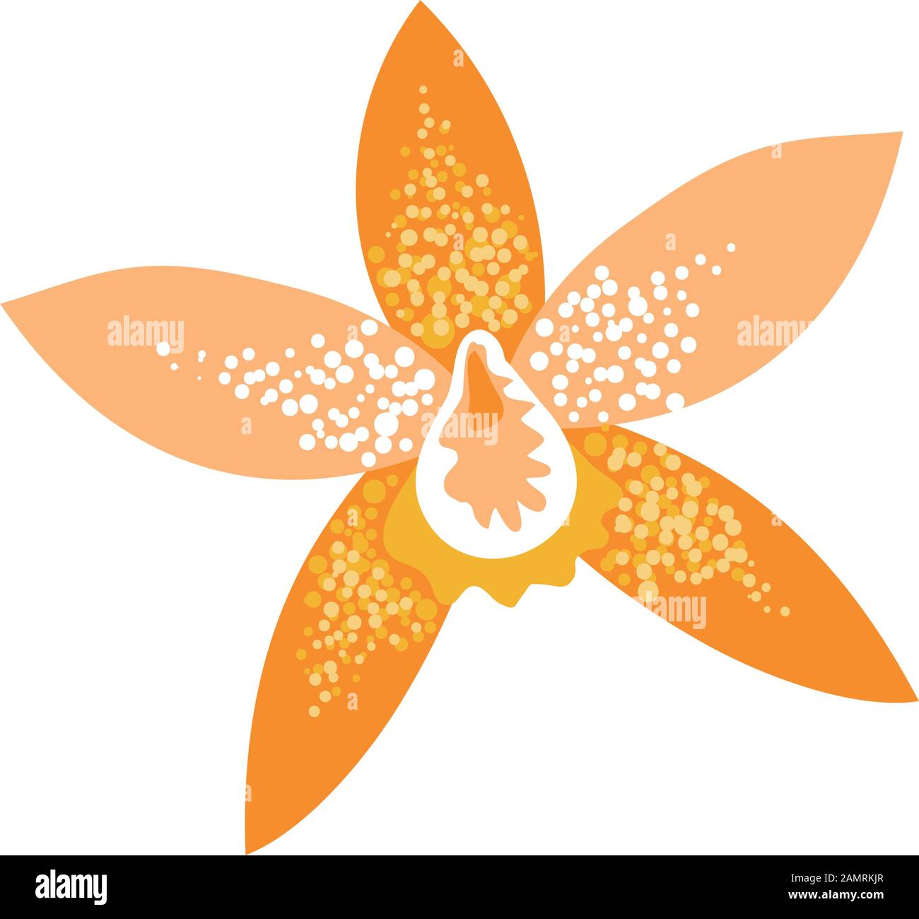 beautiful and tropical flower garden Stock Vector Image & Art - Alamy