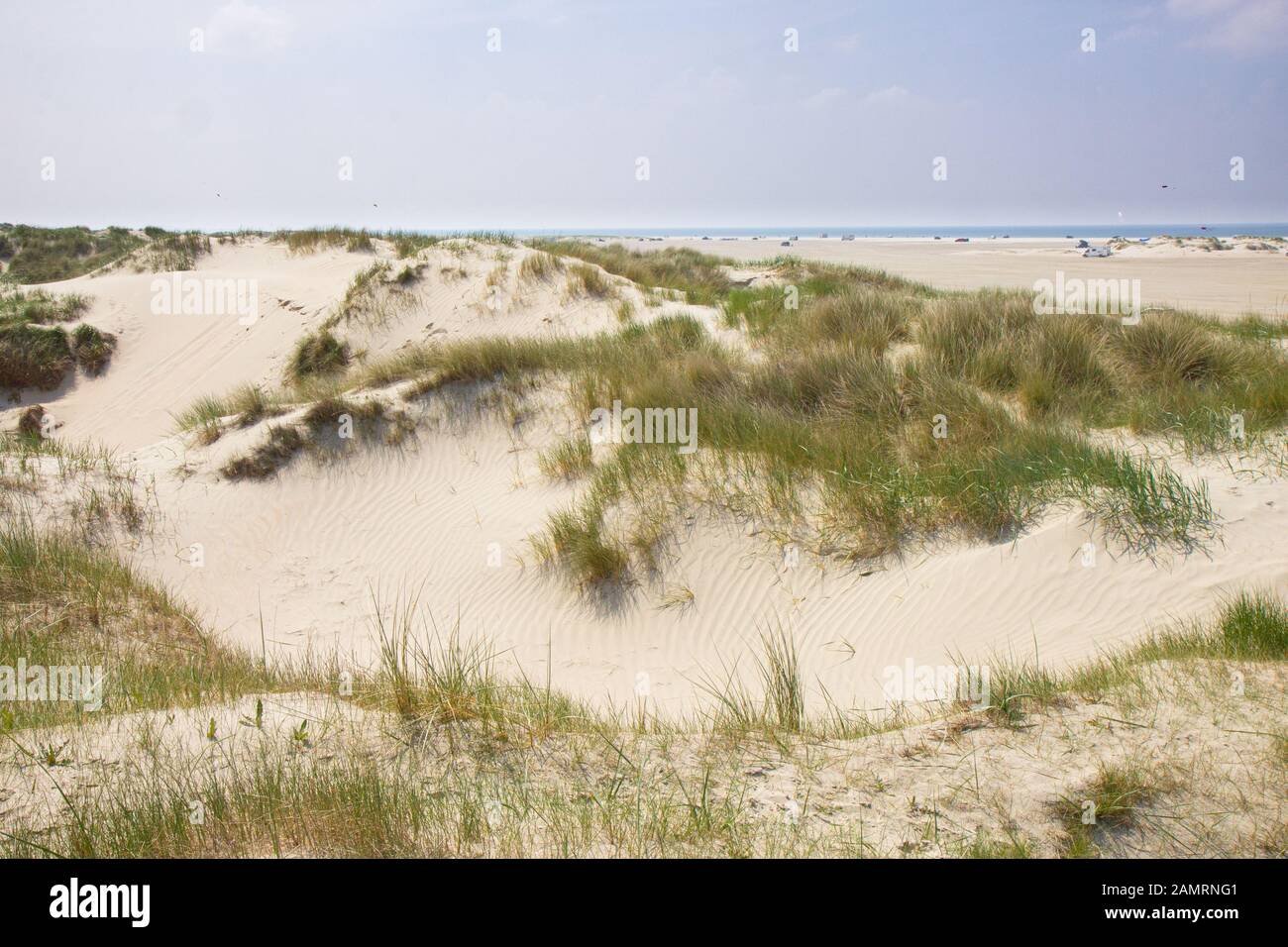 sand dunes of Island Romo, western Denmark Stock Photo - Alamy