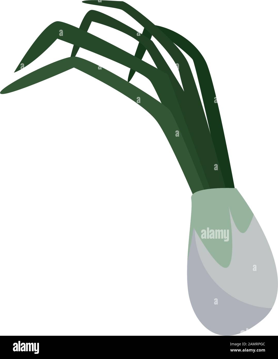 leek design, Vegetable organic food healthy fresh natural and market ...