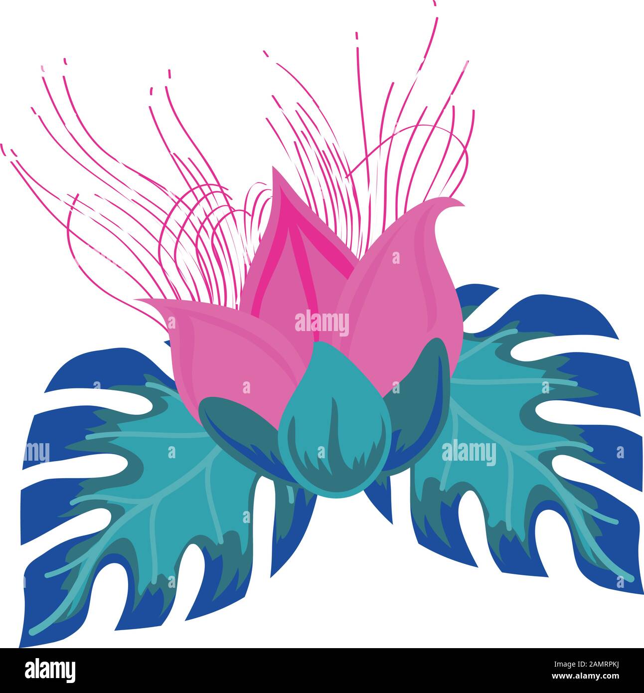 tropical and exotic flower with leafs plant Stock Vector Image & Art ...