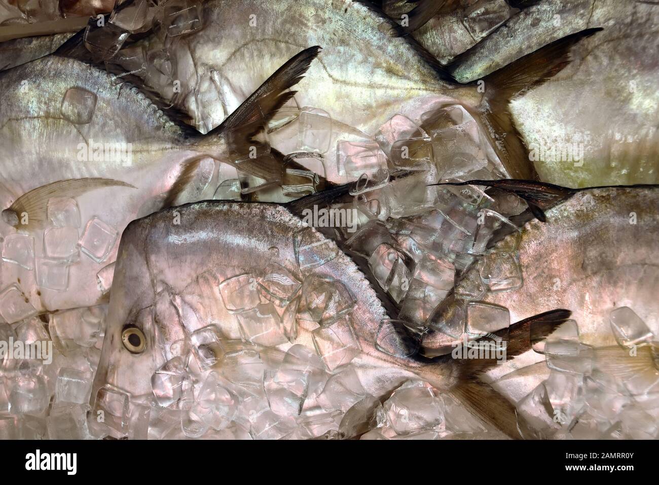 Fish in ice for sale Stock Photo - Alamy