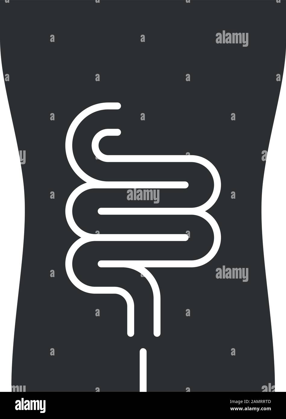 Healthy intestine glyph icon. Human organ in good health. Functioning ...