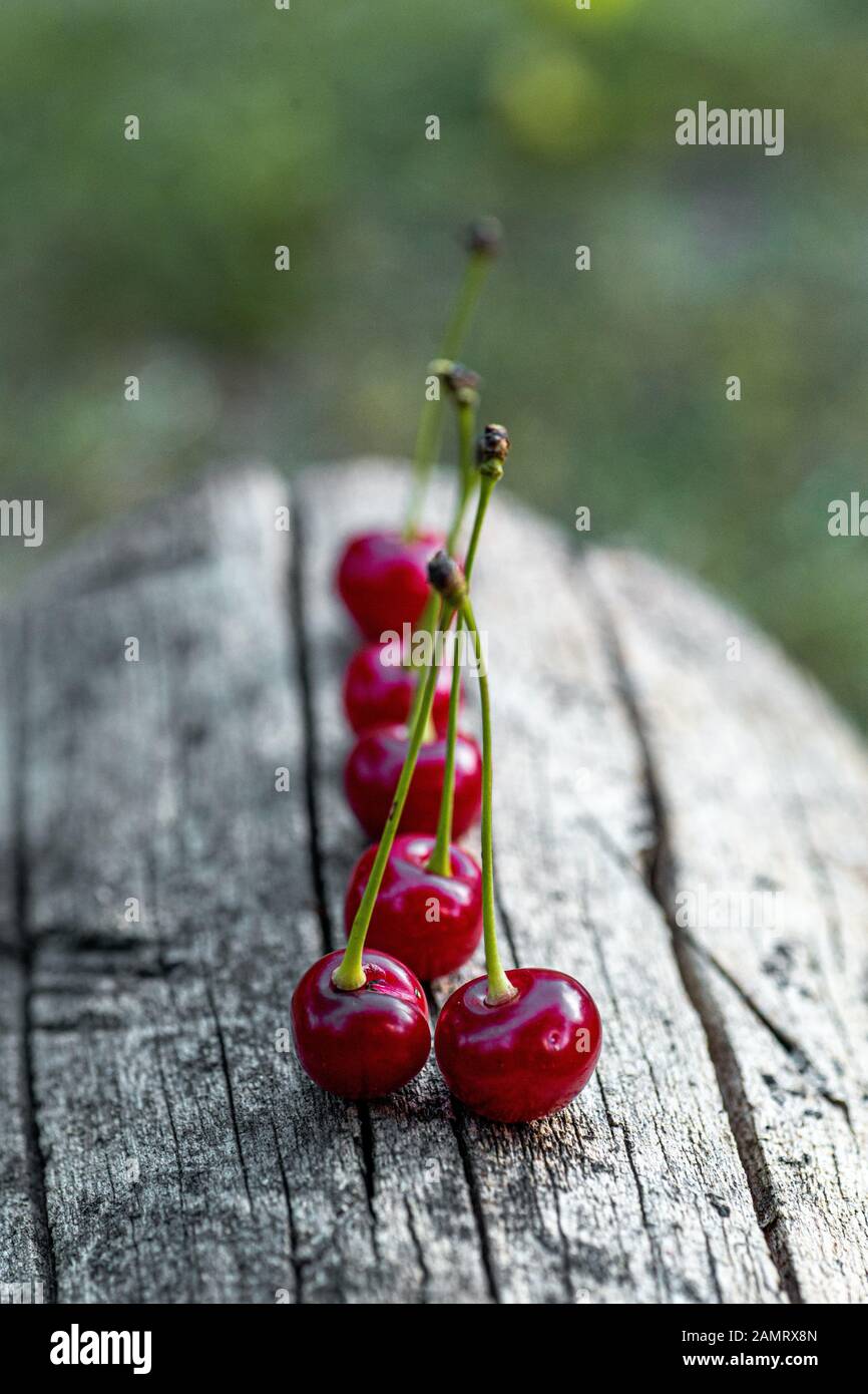 row of ripe cherries on wooden deck. Background for mobile phone or ...
