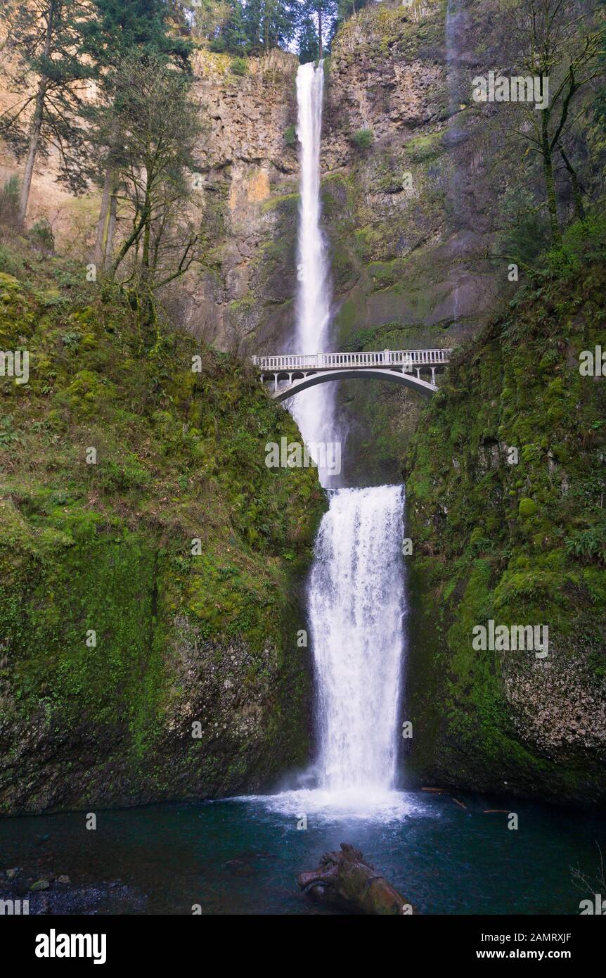 Multnomah falls is the tallest water fall in the Columbia River Gorge ...