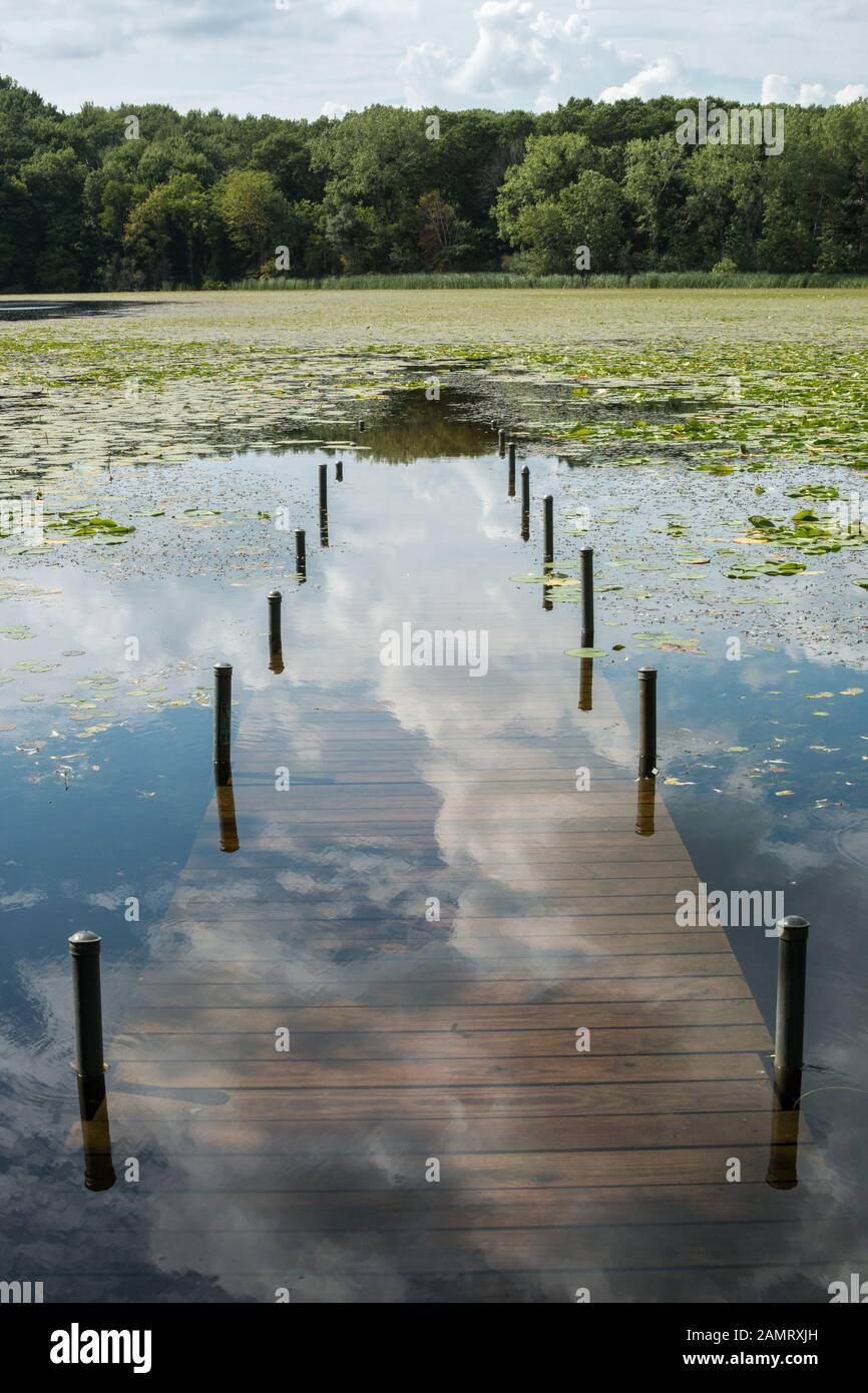 Dock underwater due to flooding, with reflected clouds with trees and ...