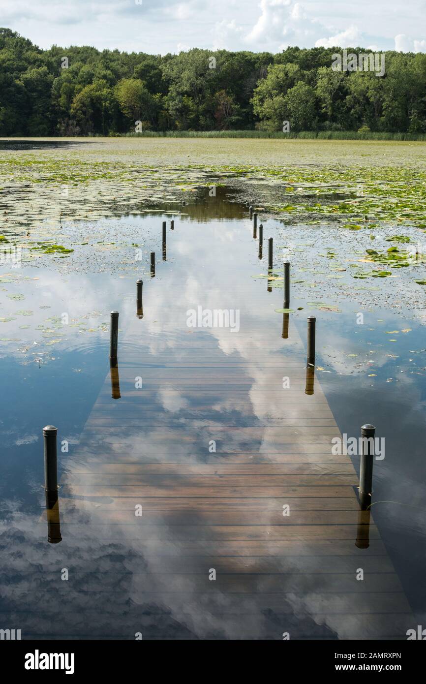 Dock underwater due to flooding, with reflected clouds with trees and ...