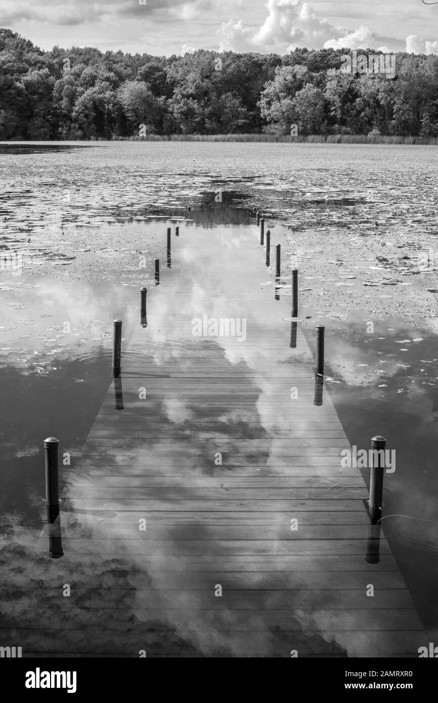 Black and white image of a dock underwater due to flooding, with ...