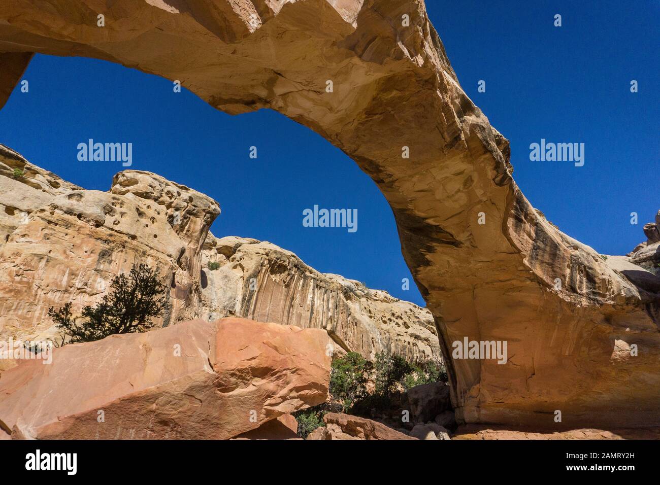 Hickman Bridge arch in Capitol Reef National Park in Utah Stock Photo ...