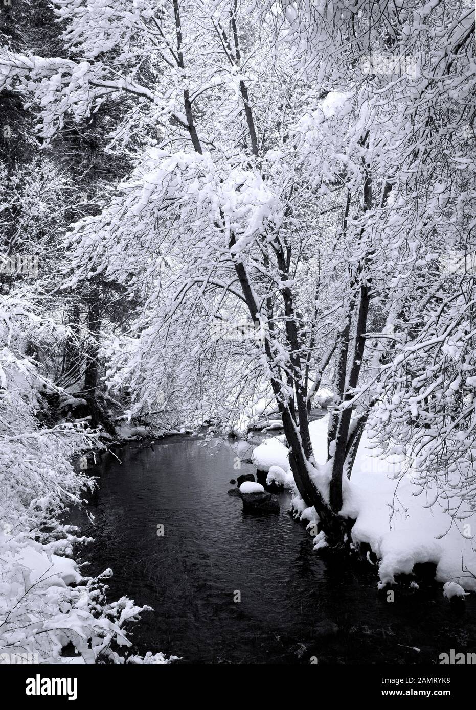 Uinta wasatch cache national forest hi-res stock photography and images ...