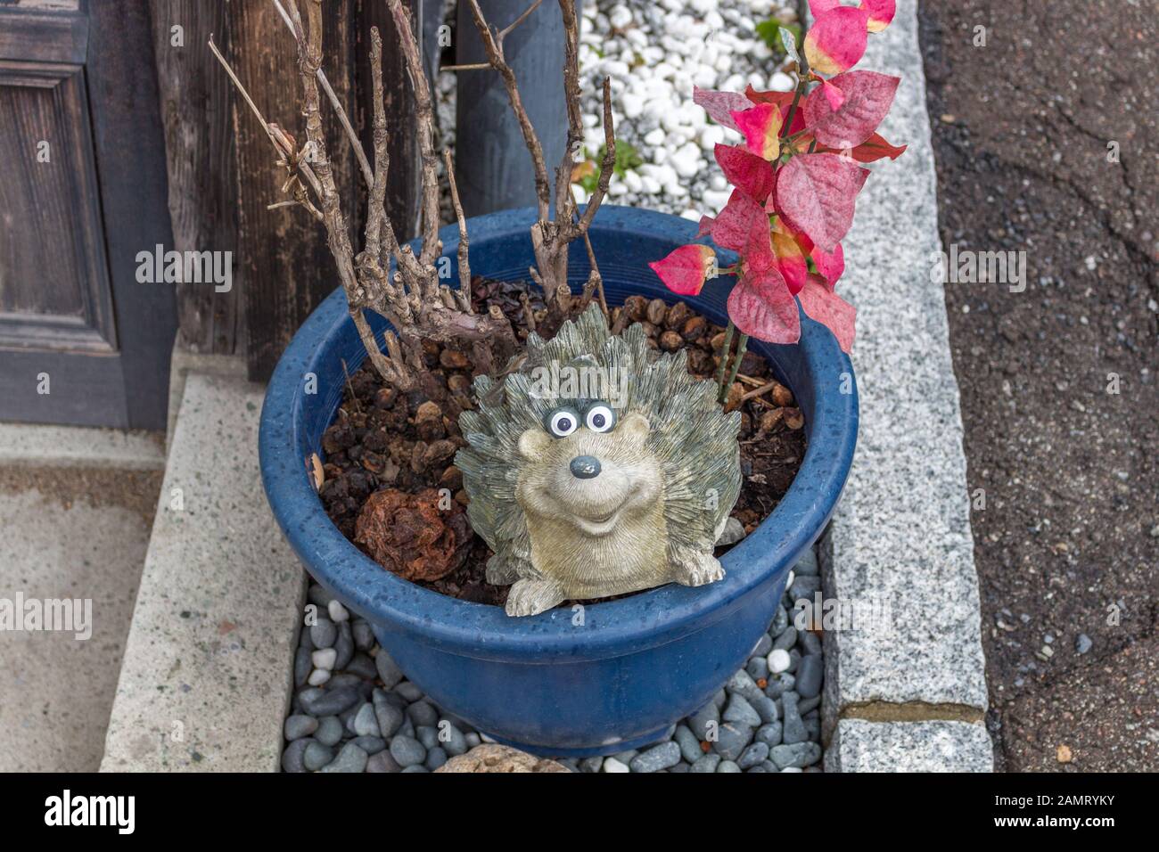 Happy smiling hedgehog figure in flowerpot. Kanazawa, Japan Stock Photo ...