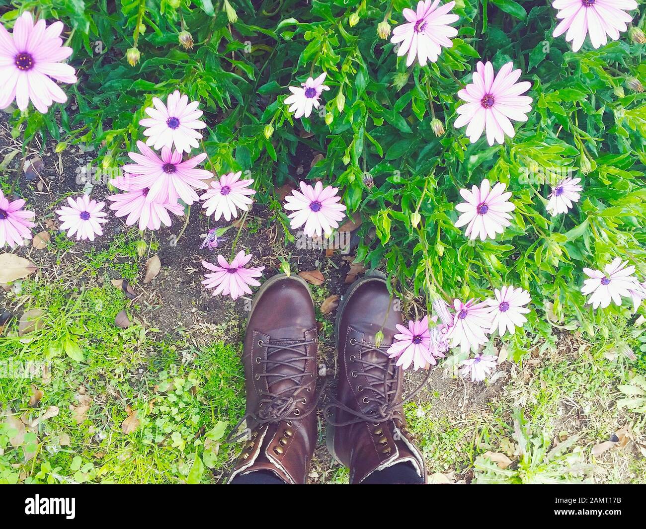 Woman's feet standing next to spring flowers, Malaga, Spain Stock Photo ...