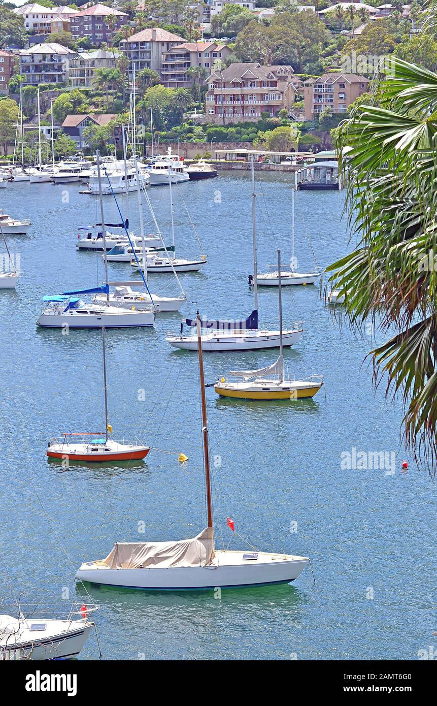 Cremorne point hi-res stock photography and images - Alamy