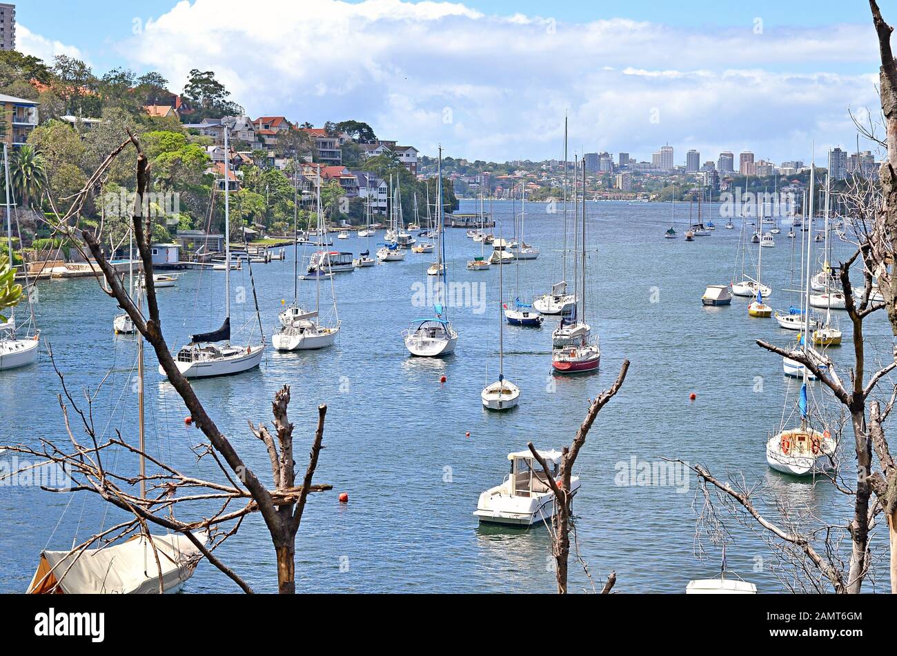 Cremorne point to Mosman Bay coastal walk, Sydney, Australia Stock ...