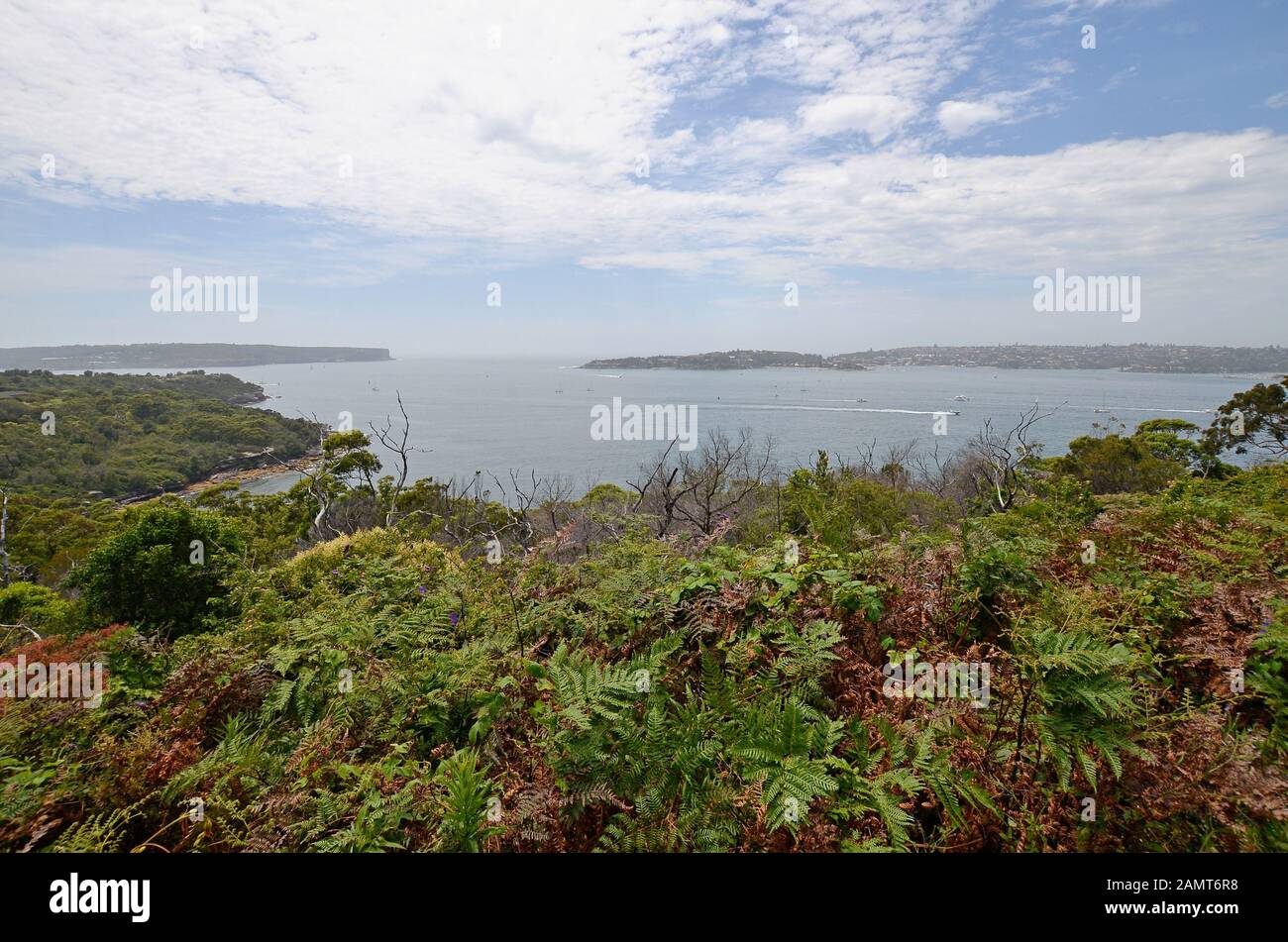 One of the most beautiful walks in Sydney Spit bridge to Manly beach ...