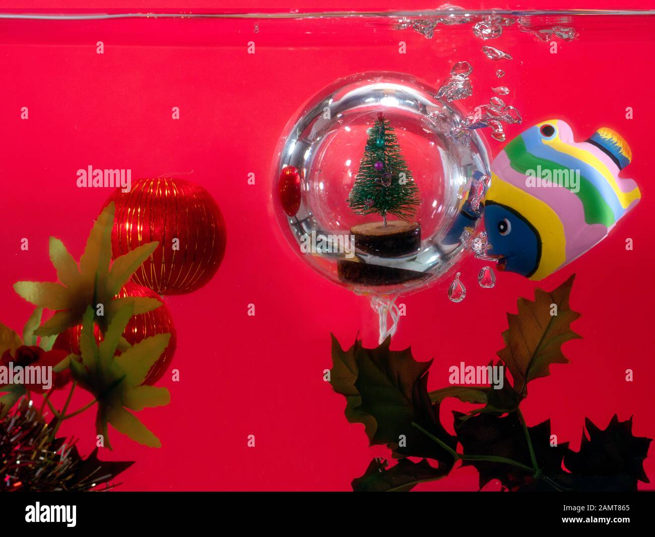 Christmas aquarium hi-res stock photography and images - Alamy