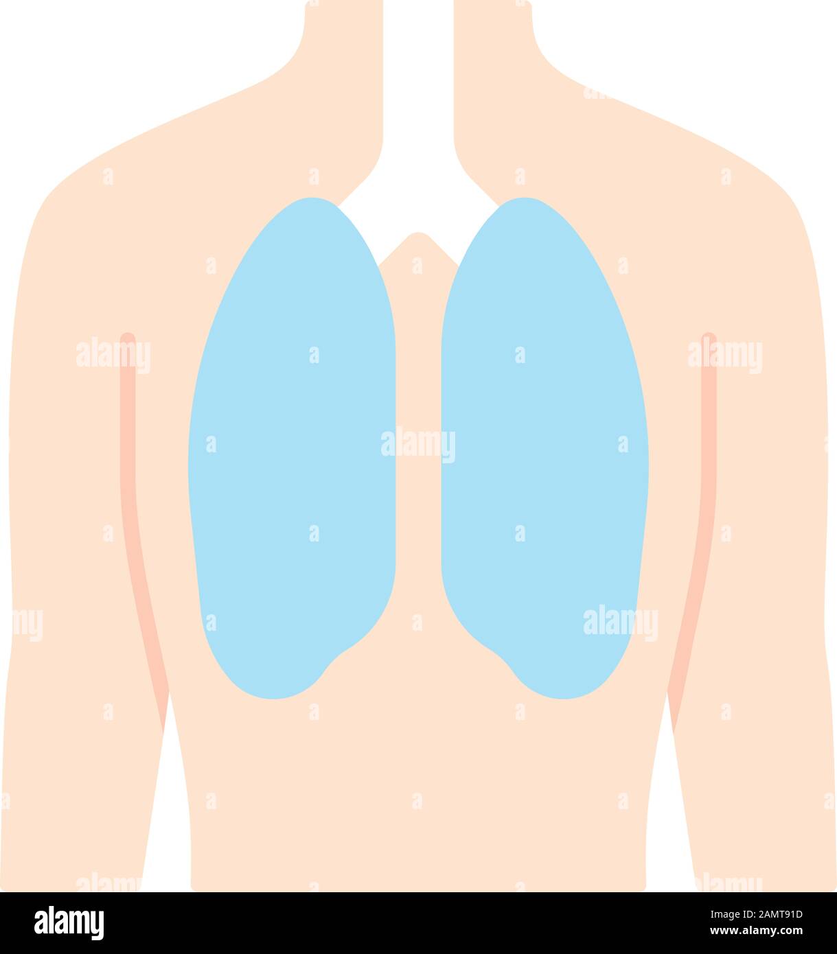 Healthy lungs flat design long shadow color icon. Organ in good health ...